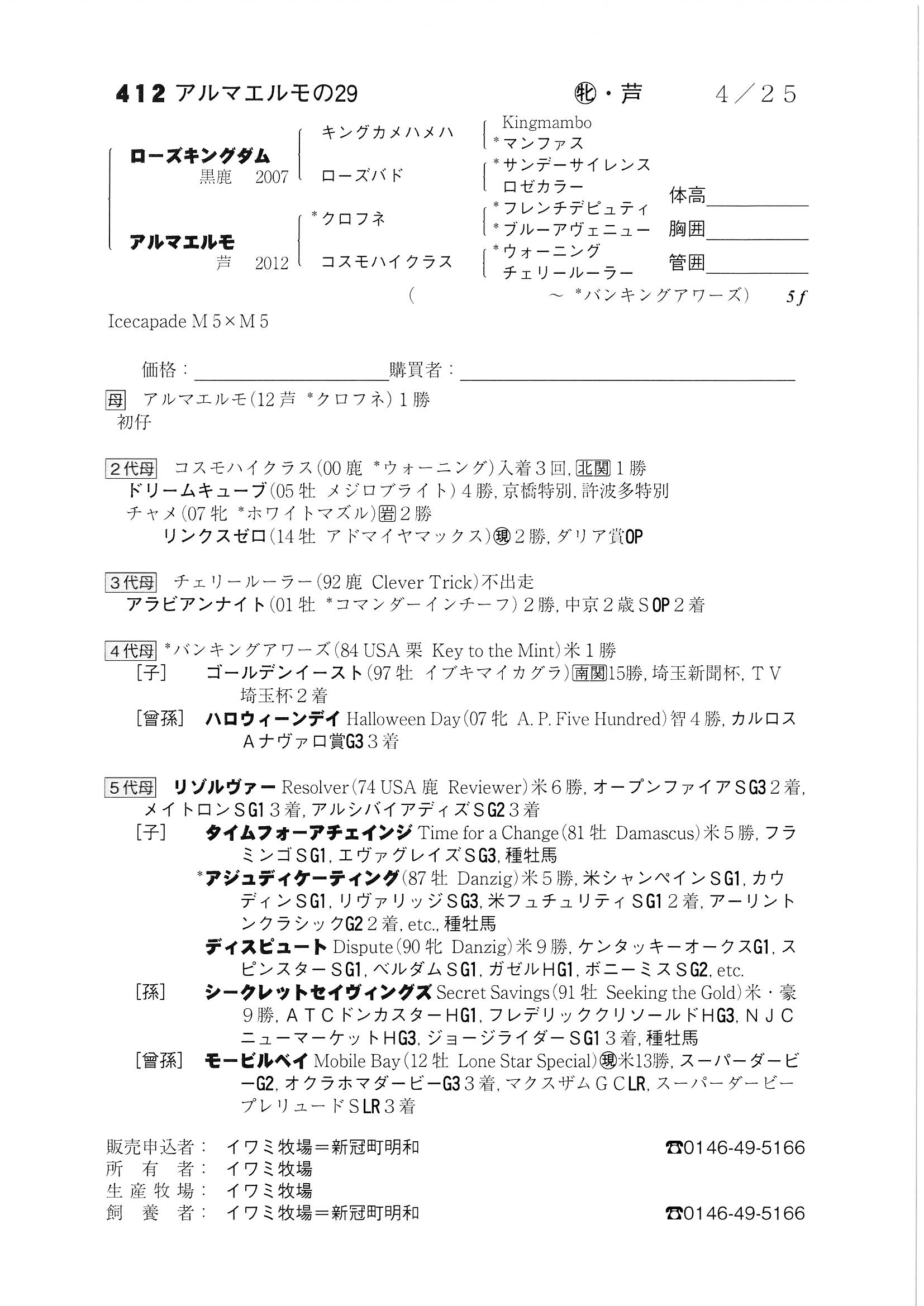 アルマエルモの17 Alma Elmo 17 牝 2歳 ※騎乗運動中の2歳馬 | サラブレッドオークション