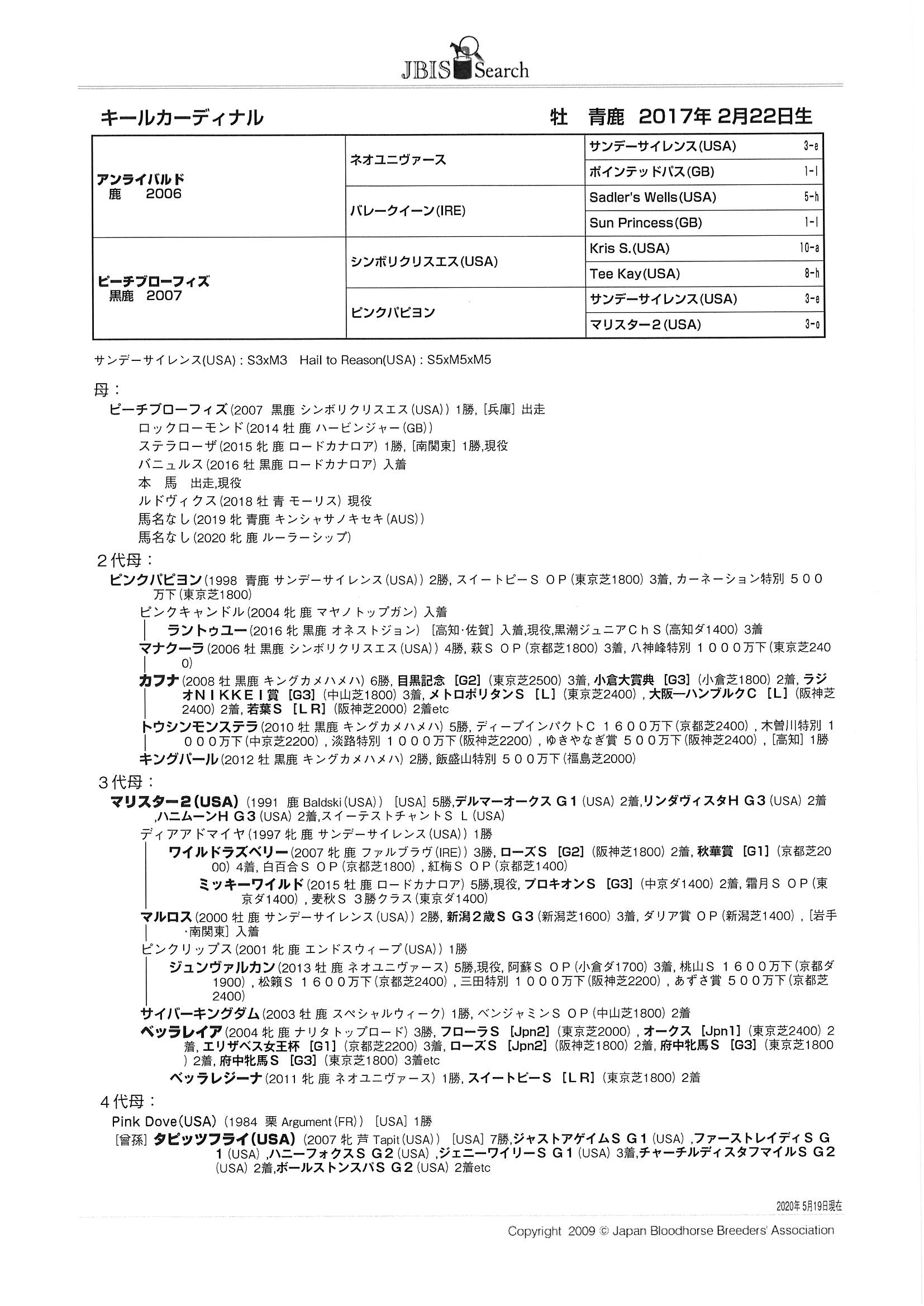 キールカーディナル Kir Cardinal 牡 3歳 ※中央競馬 登録抹消 | サラブレッドオークション