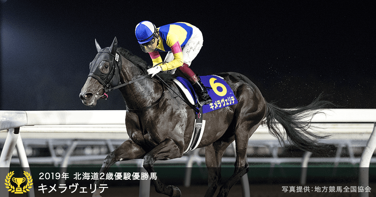 ダートグレード競走：JBC2歳優駿（JpnIII）2020:おトク情報:楽天競馬