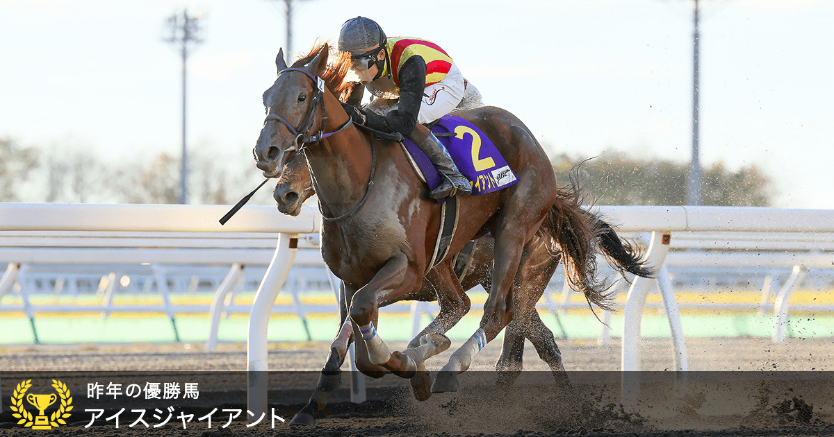 JBC2歳優駿 (JpnIII) 2022｜特集:おトク情報:楽天競馬